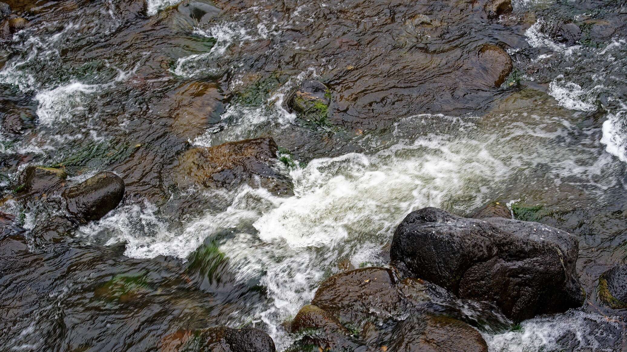 მდინარე სუფსაში თევზაობისას მამაკაცი დაიხრჩო