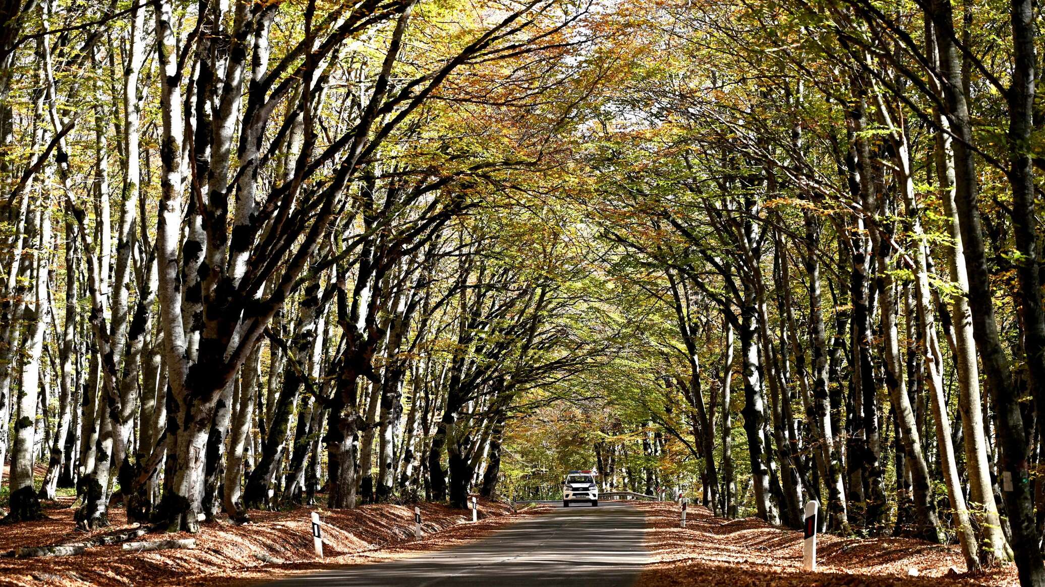 5 დეკემბერს დაბადებულები – ზოდიაქო, დახასიათება, რჩევები
