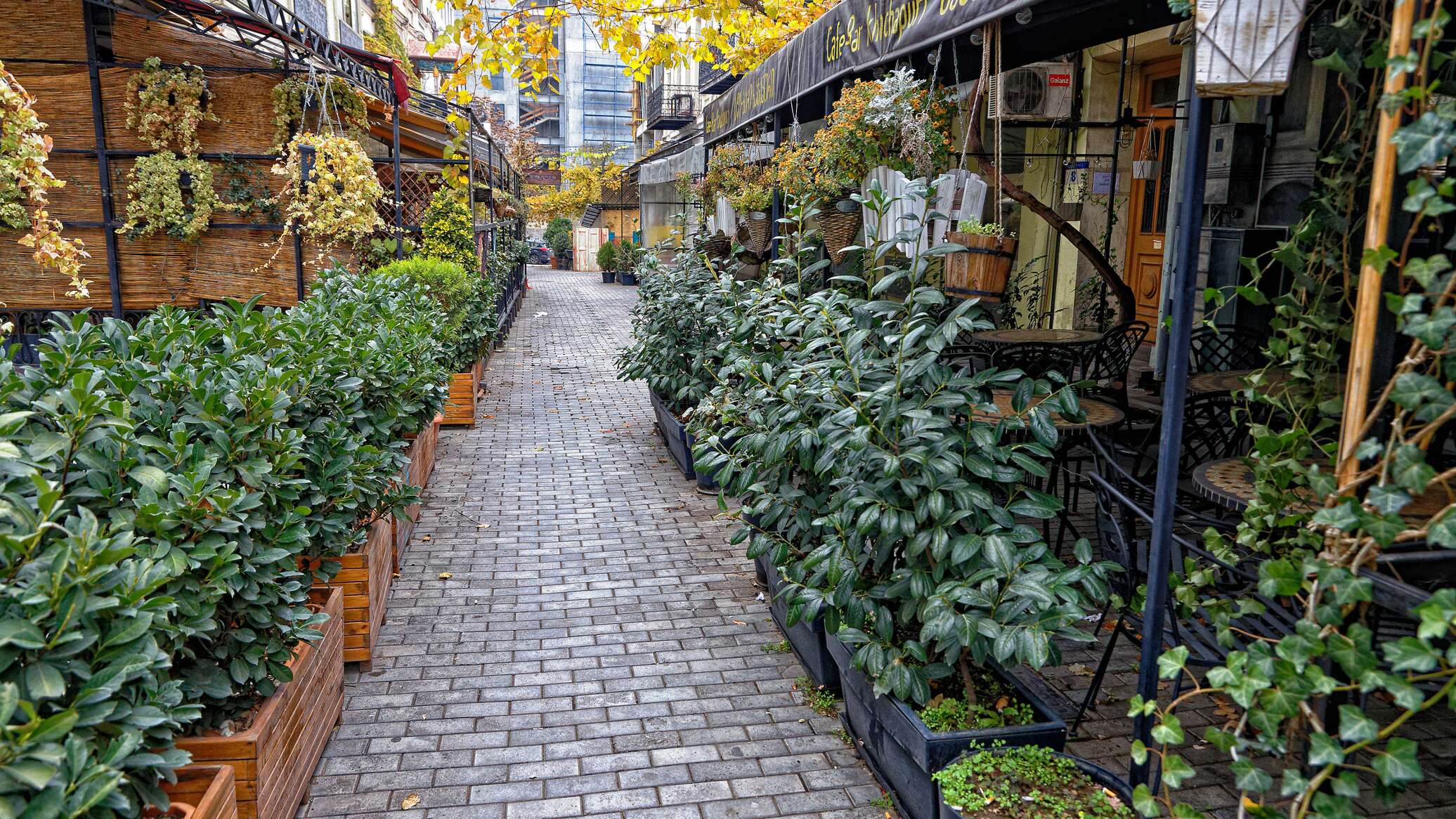 საქართველოს იმიჯს აზიანებენ – ტურისტული სექტორი თაღლითებზე - 23.09.2021 ...
