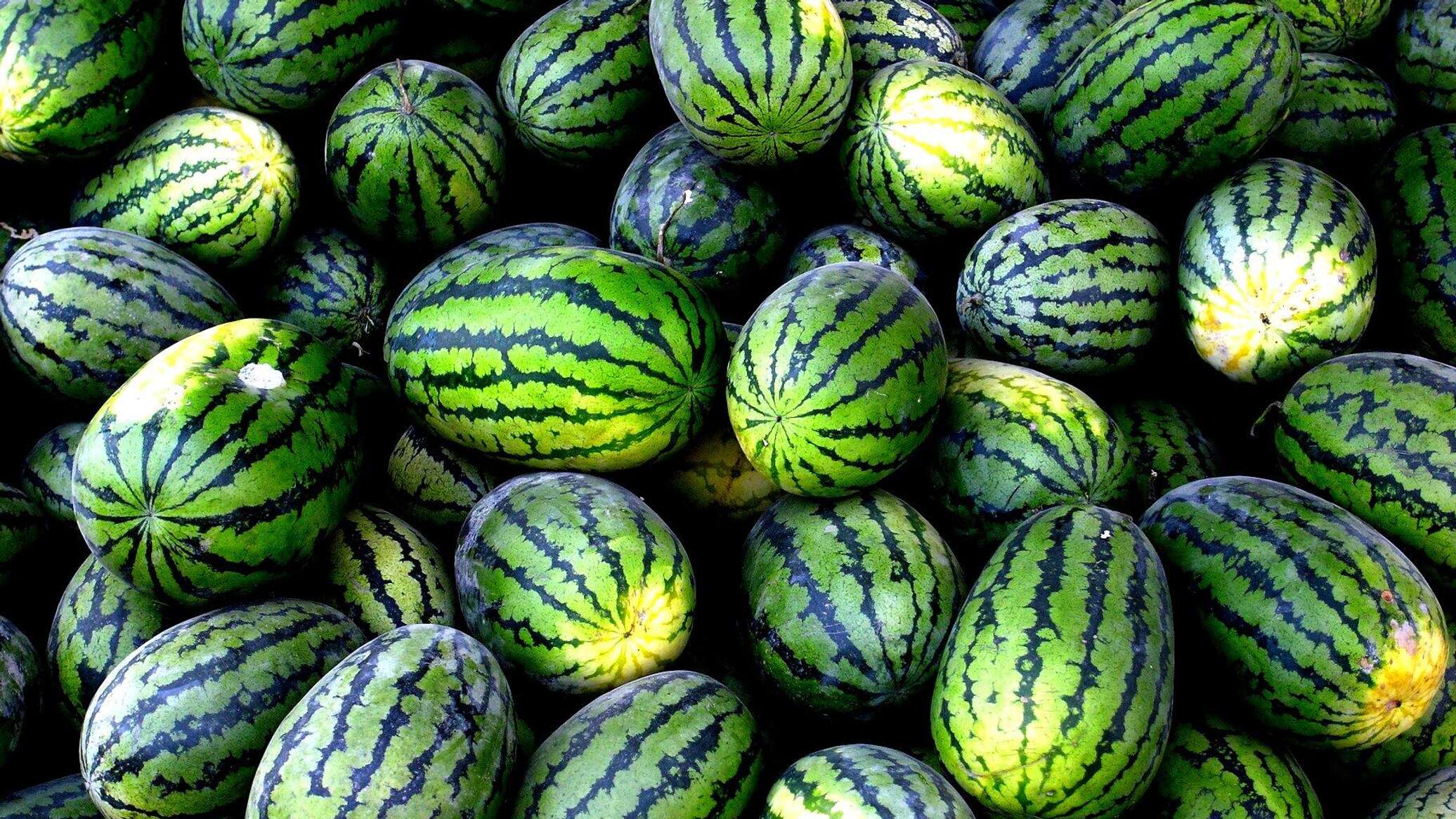 საზამთრო და საზამთროს კურკა - რა სარგებლობა მოაქვს და როდის შეიძლება ...