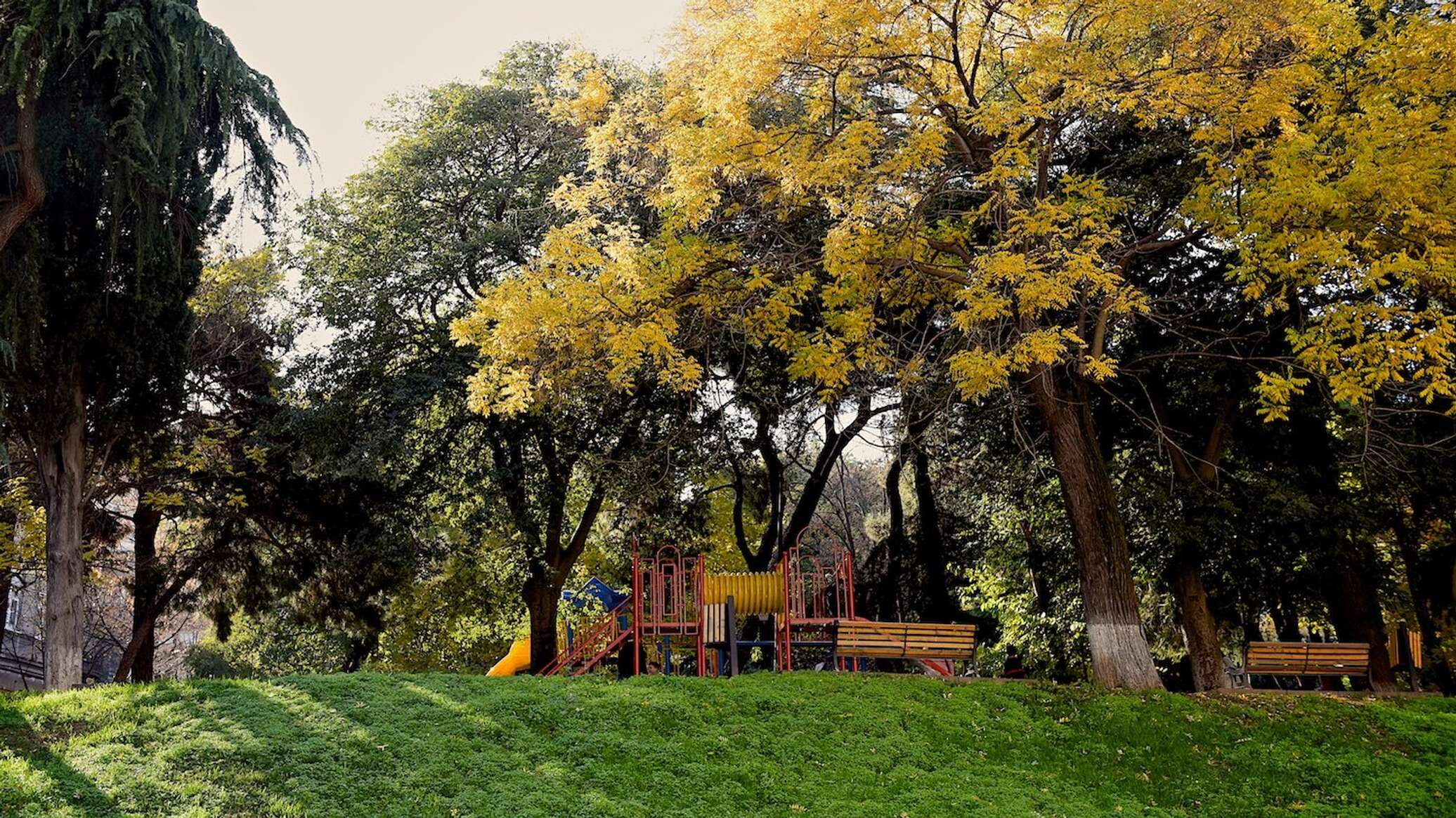 14 სექტემბერს დაბადებულები – ზოდიაქო, დახასიათება, რჩევები