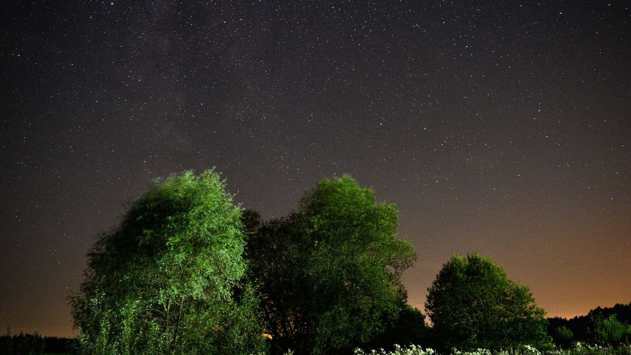 მორიელი – ტემპერამენტიანი, ქარიზმატული, ვნებიანი, ეჭვიანი – ზოგადი ...