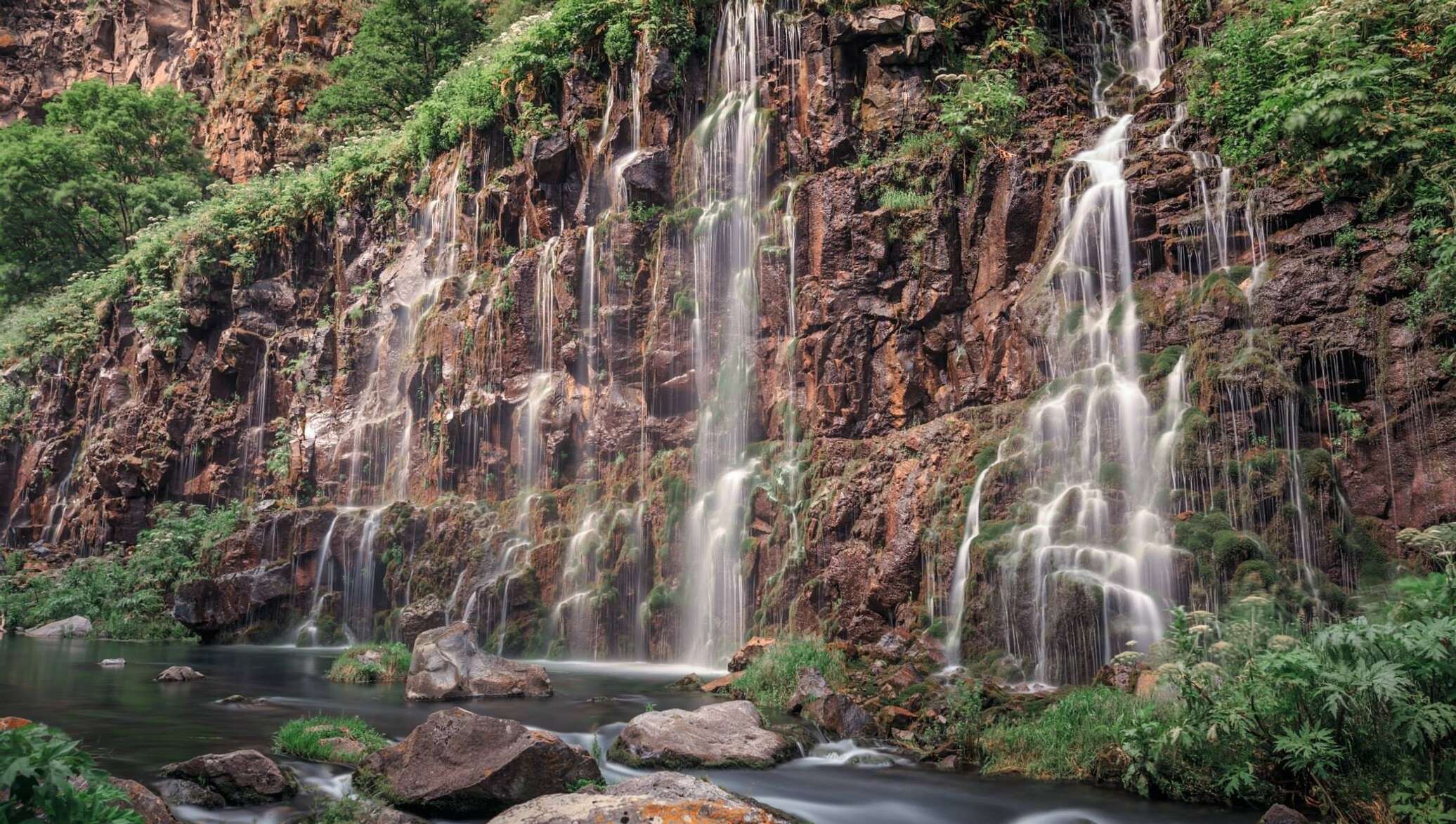 2021 წლის ჰოროსკოპი: მერწყული