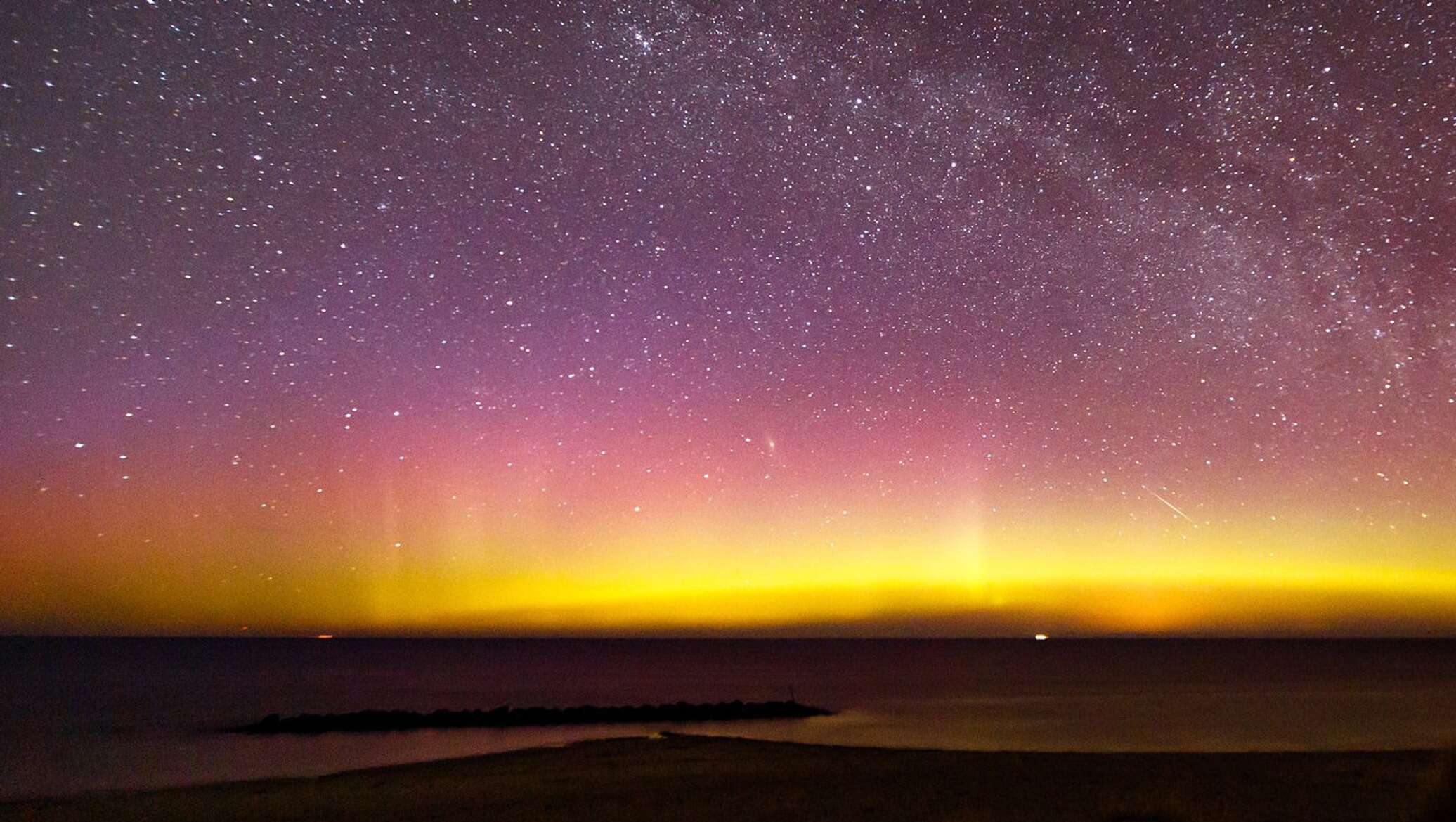 მერწყული – რთული, ორიგინალური, თავისუფლებისმოყვარე – ზოგადი დახასიათება ...