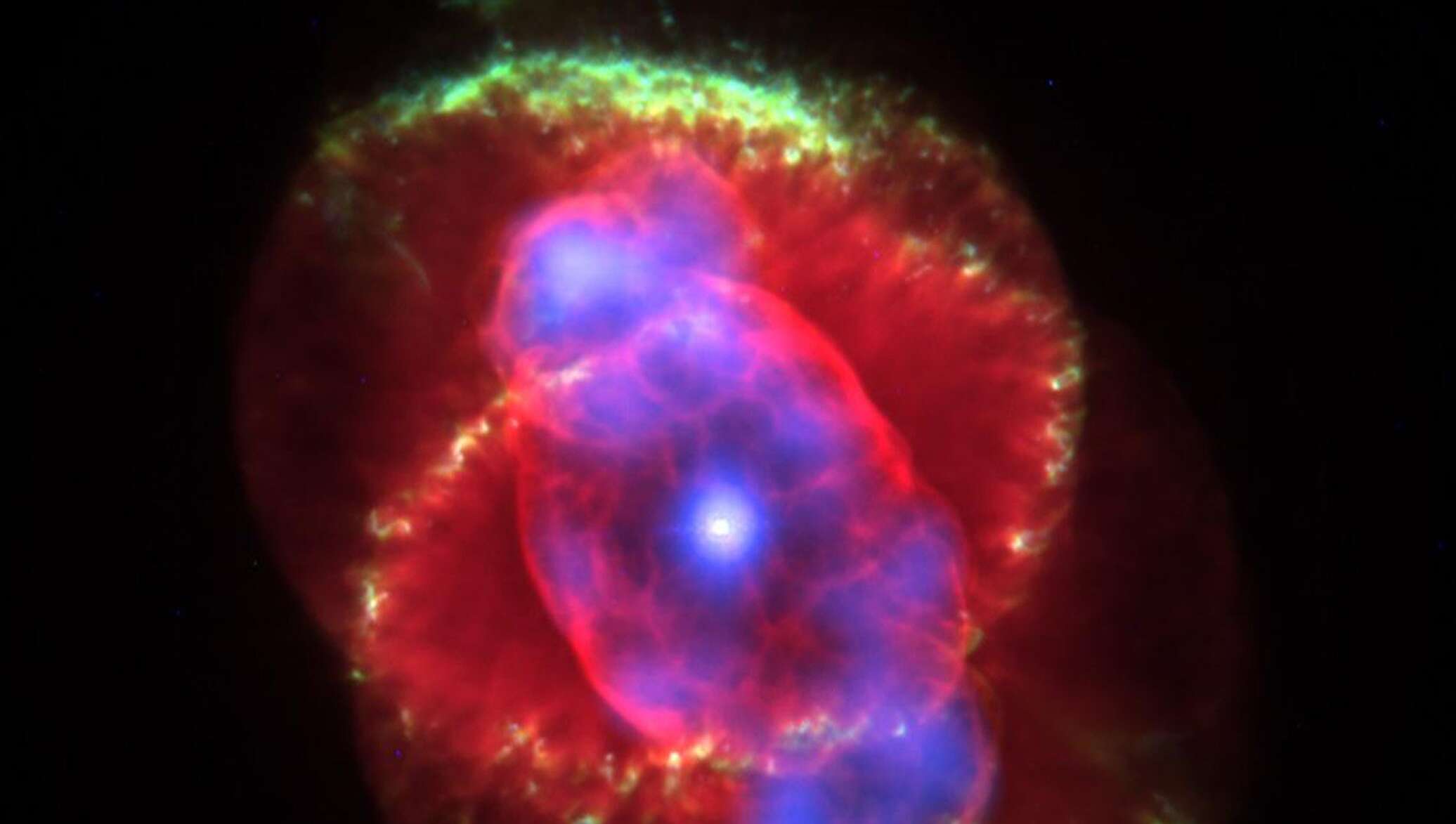 ლომი - კაშკაშა, ამბიციური, ძალაუფლებისმოყვარე, ძლიერი - ზოგადი ...