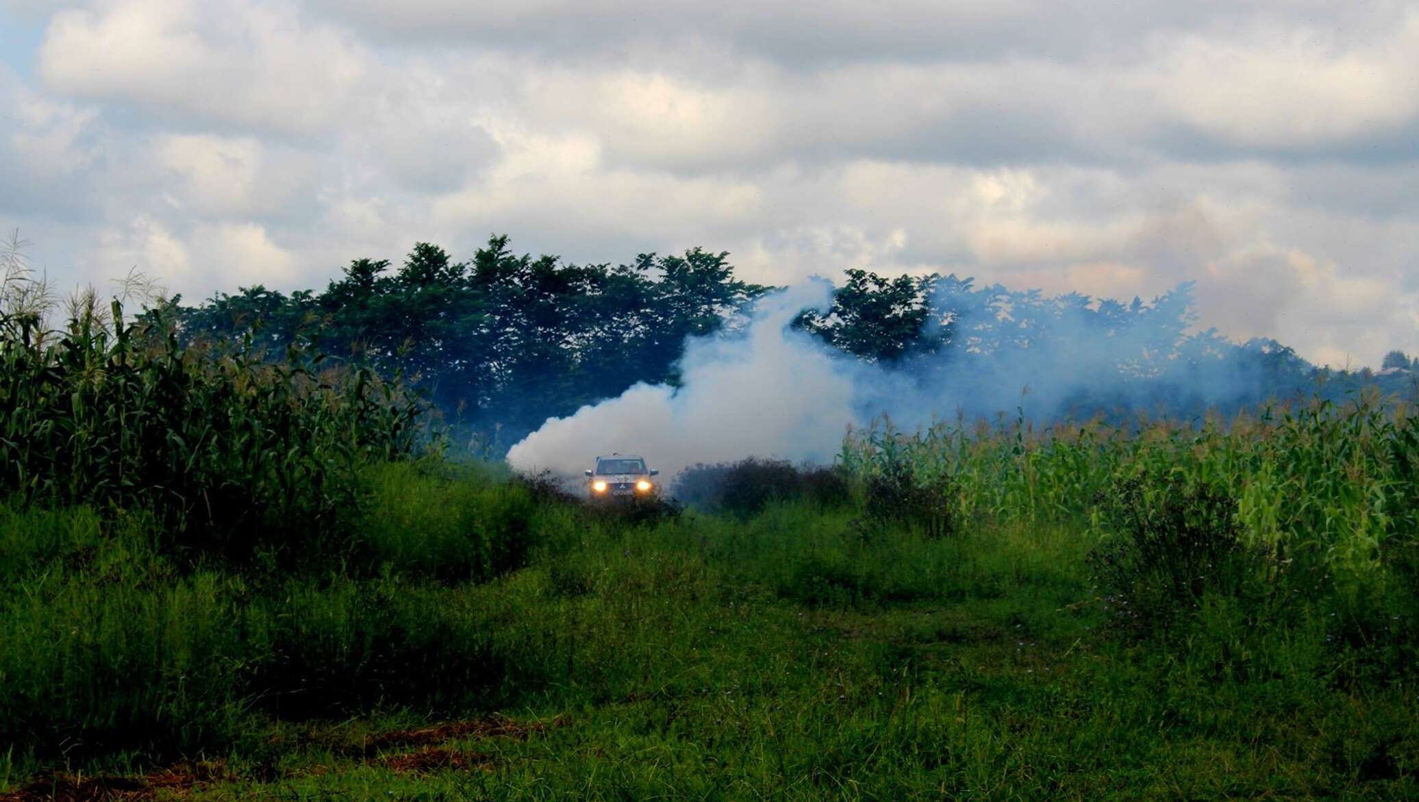 საქართველომ აზიური ფაროსანა დაამარცხა - 05.08.2019-ს, Sputnik საქართველო