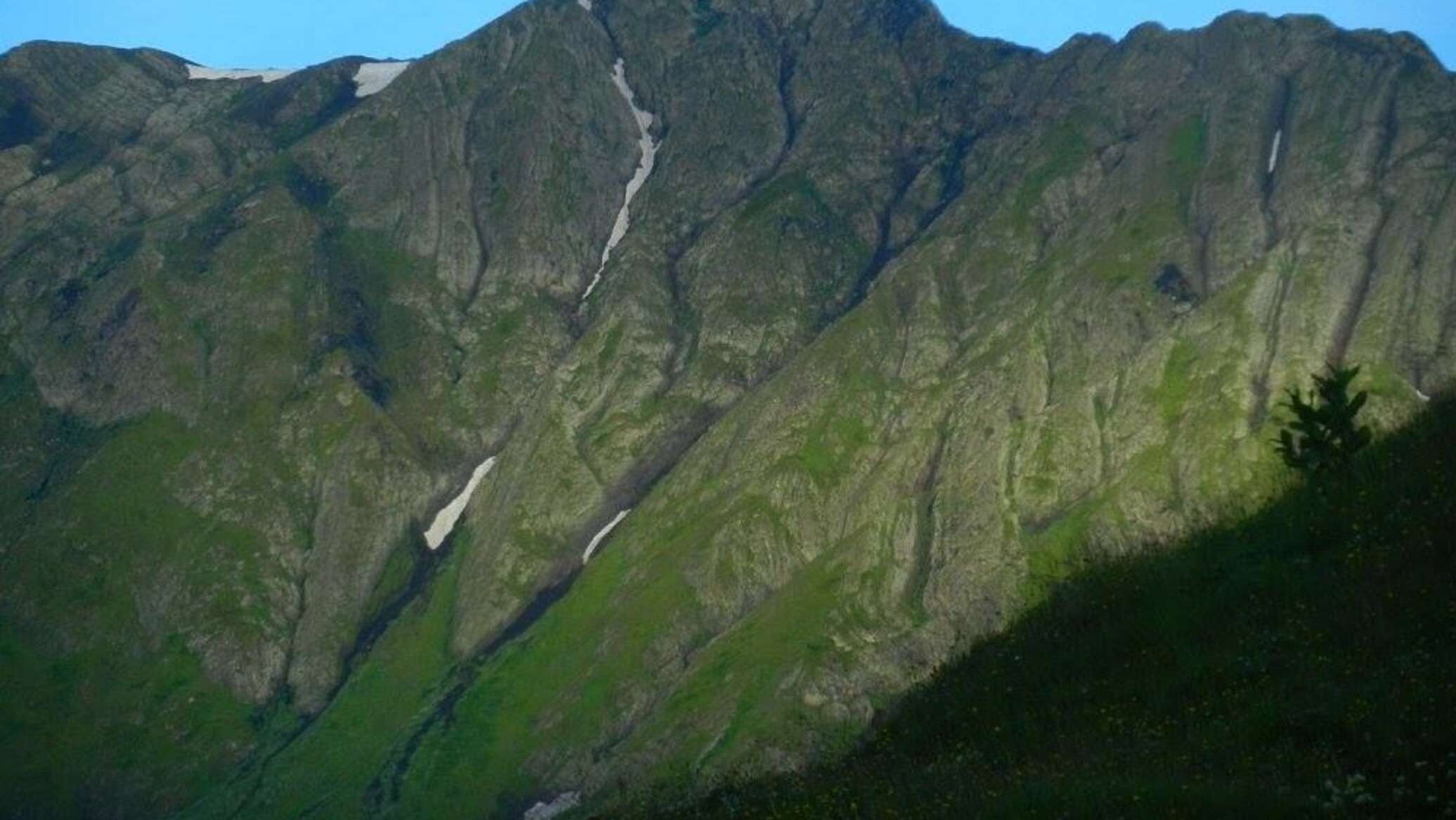 29 ოქტომბერს დაბადებულები – ზოდიაქო, დახასიათება, რჩევები