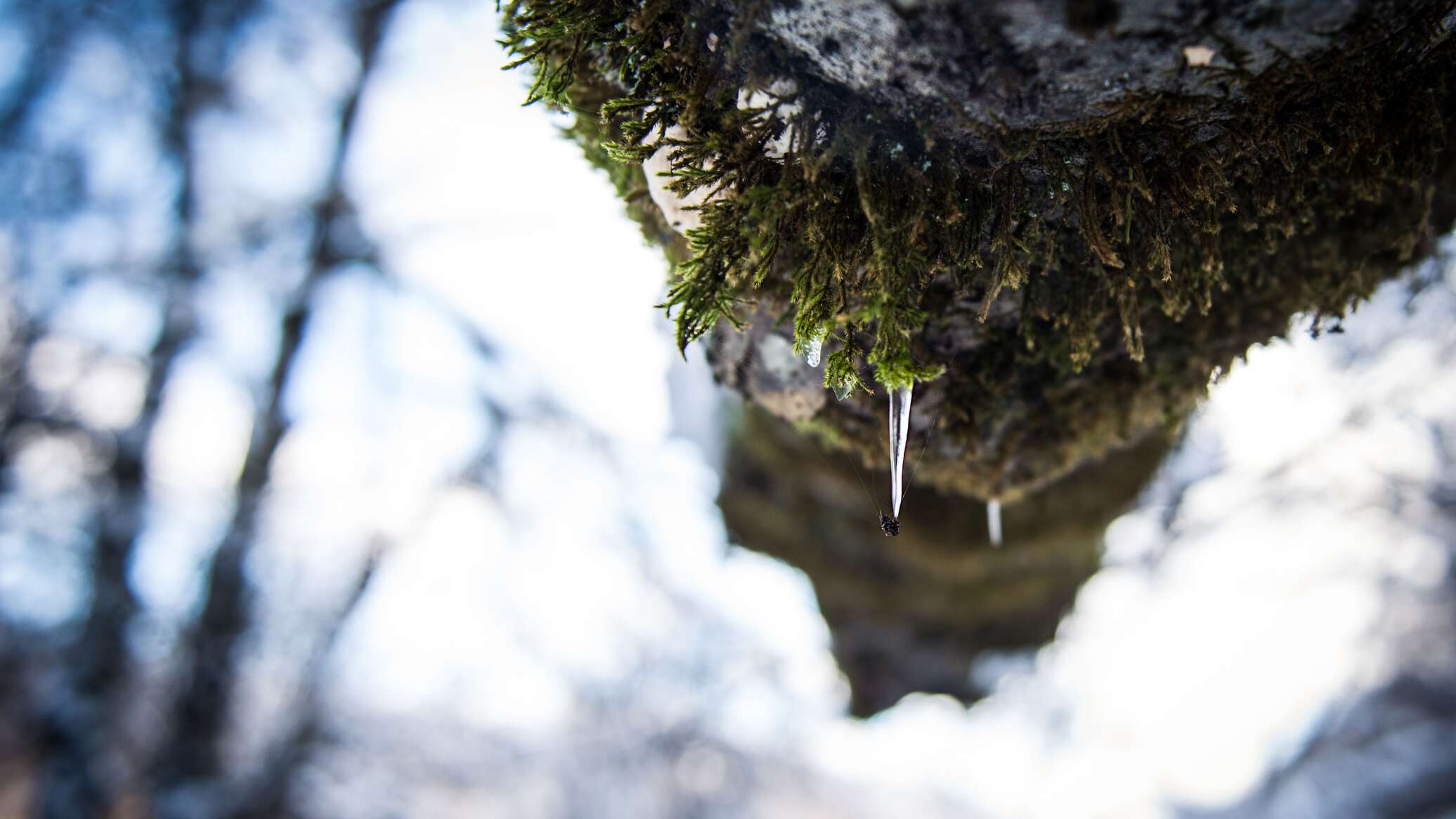 6 დეკემბერს დაბადებულები – ზოდიაქო, დახასიათება, რჩევები - 06.12.2023-ს ...