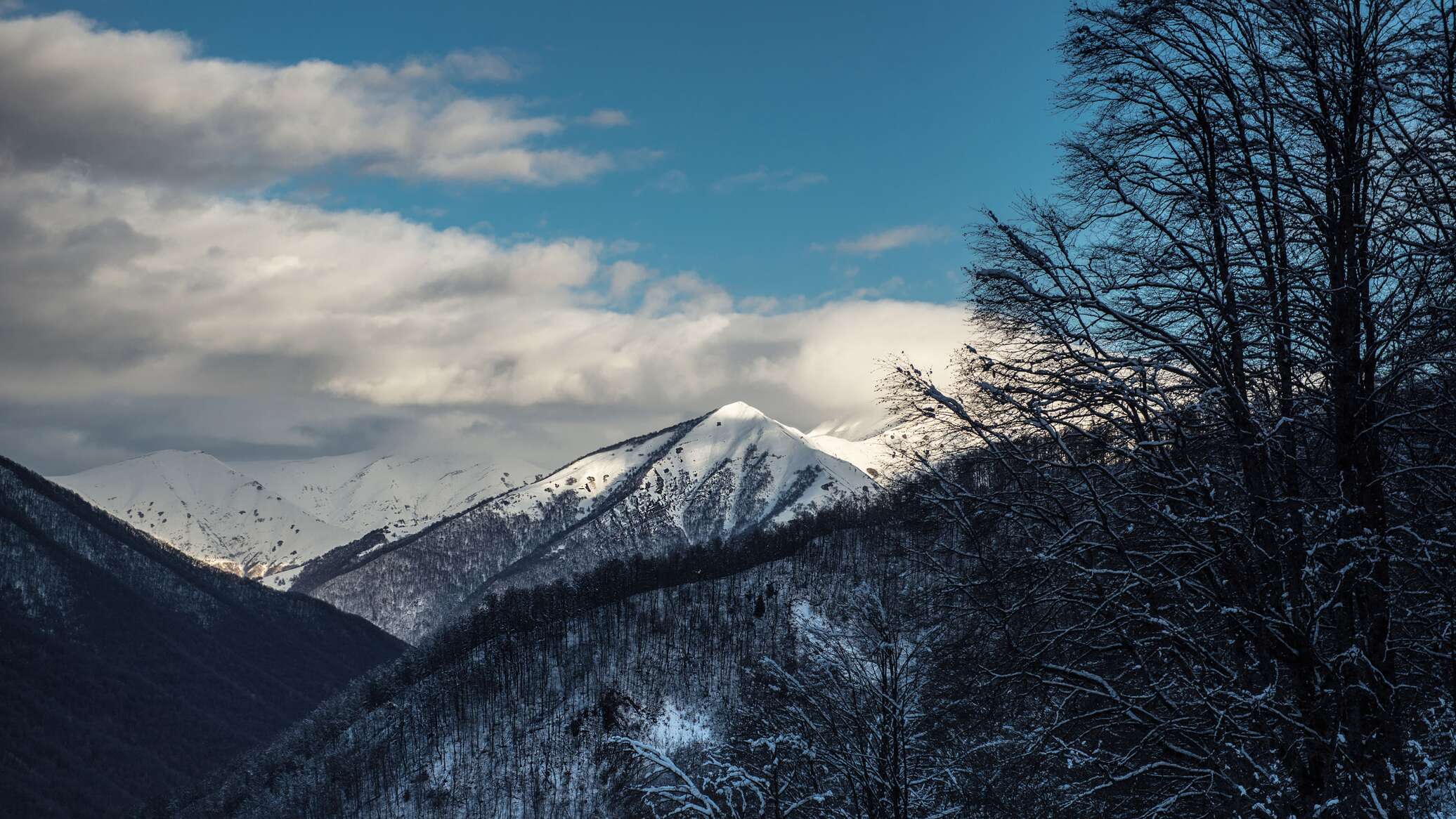 22 დეკემბერს დაბადებულები – ზოდიაქო, დახასიათება, რჩევები