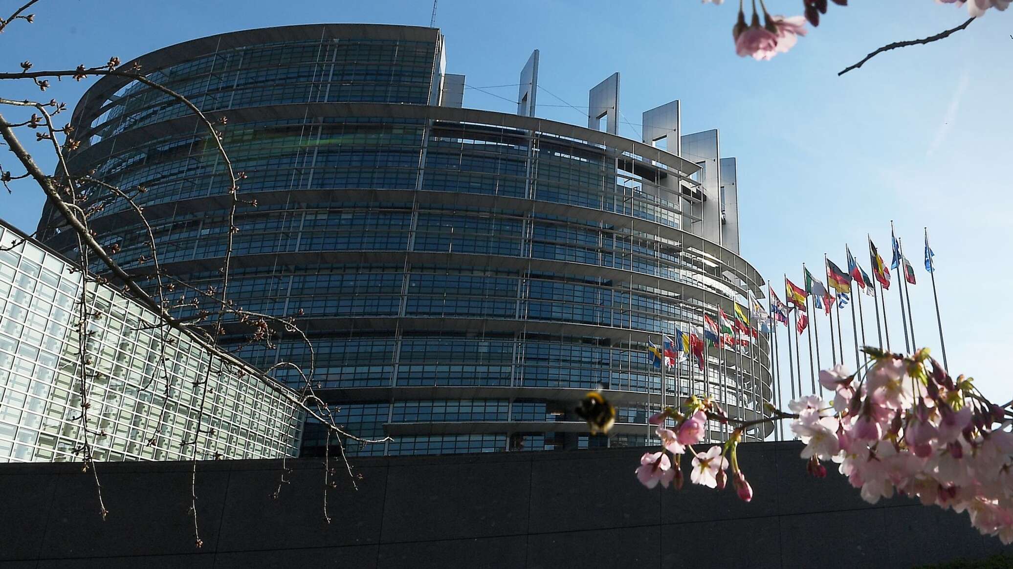 Европарламент хочет создать прецеденты введения санкций против Грузии ...