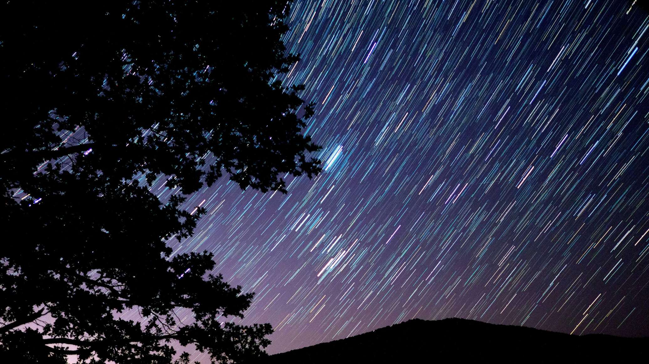 მორიელი – ტემპერამენტიანი, ქარიზმატული, ვნებიანი, ეჭვიანი – ზოგადი ...