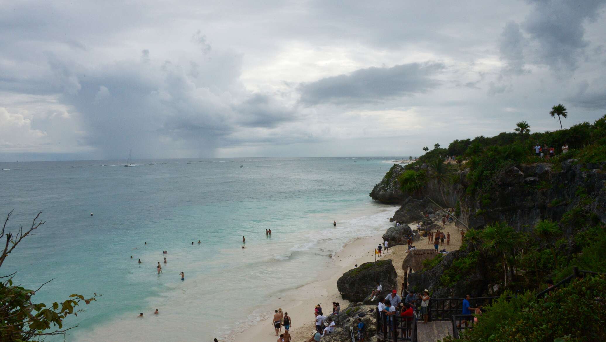 ოკეანის სიღრმიდან გამორიყულმა უთვალებო არსებამ მეთევზეები შეაშინა ...