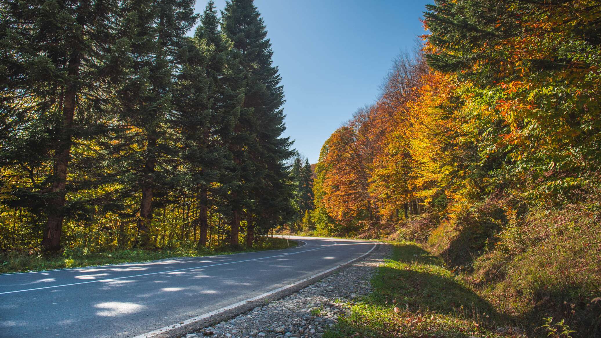 5 დეკემბერს დაბადებულები – ზოდიაქო, დახასიათება, რჩევები - 05.12.2023-ს ...