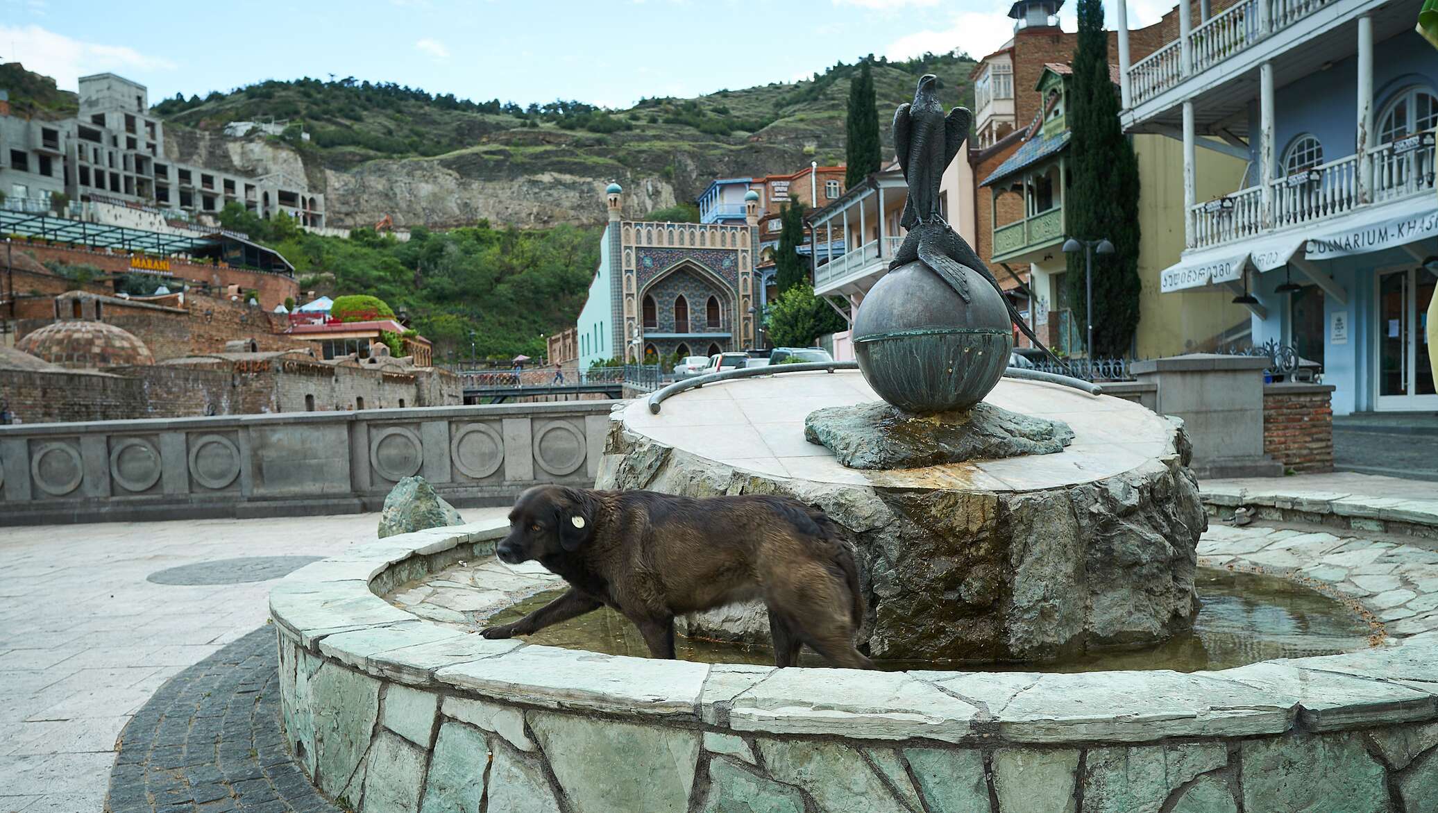 26 მაისს დაბადებულები – ზოდიაქო, დახასიათება, რჩევები - 26.05.2020-ს ...